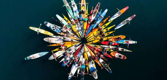 Services de Développement Web Elinext - Solutions Sur Mesure